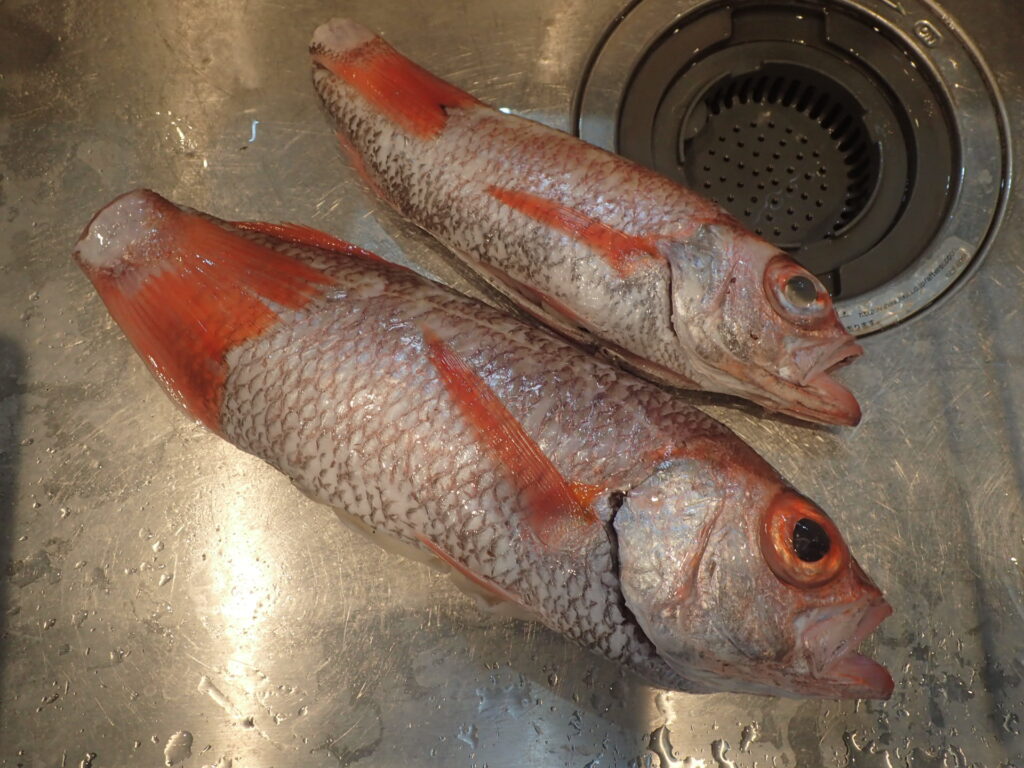 DENALI BLOG – 山の店デナリのスタッフが綴るブログです